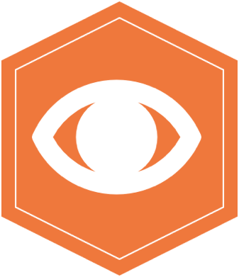 Observer Icon